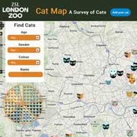 Cat map โซเชียลเน็ตเวิร์กแห่งใหม่สำหรับน้องเหมียวโดยเฉพาะ